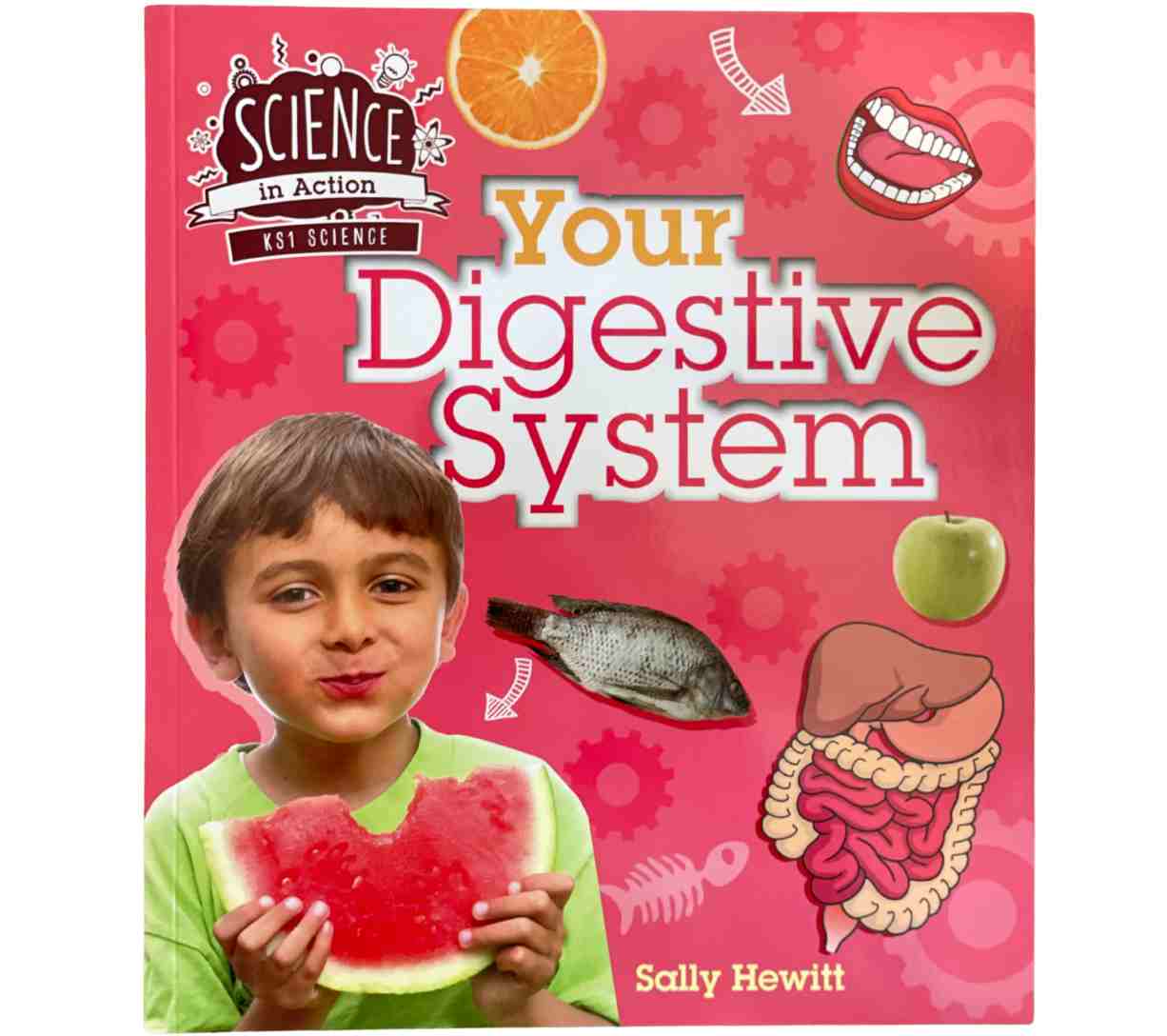 Science in Action KS1 - Your Digestive System – Benny's Books